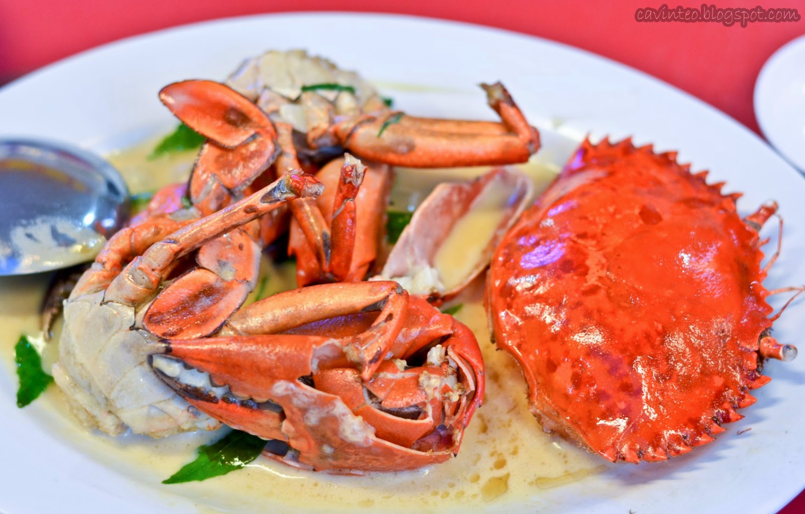 Entree Kibbles: Welcome Seafood Restaurant (大茄来海鲜餐厅) @ Kota Kinabalu ...